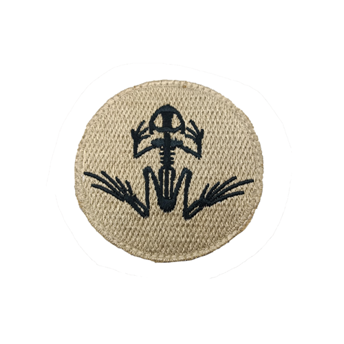 Patch Bordado – Skeleton Frog Bege - Patch Bordado – Skeleton Frog Bege - FIO DE OURO